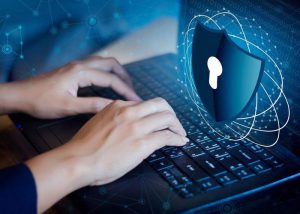 Software Services - BEL